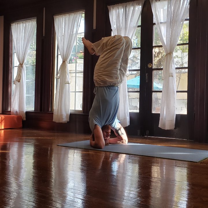 Asana Workshops | Sivananda Yoga Vedanta Center Los Angeles